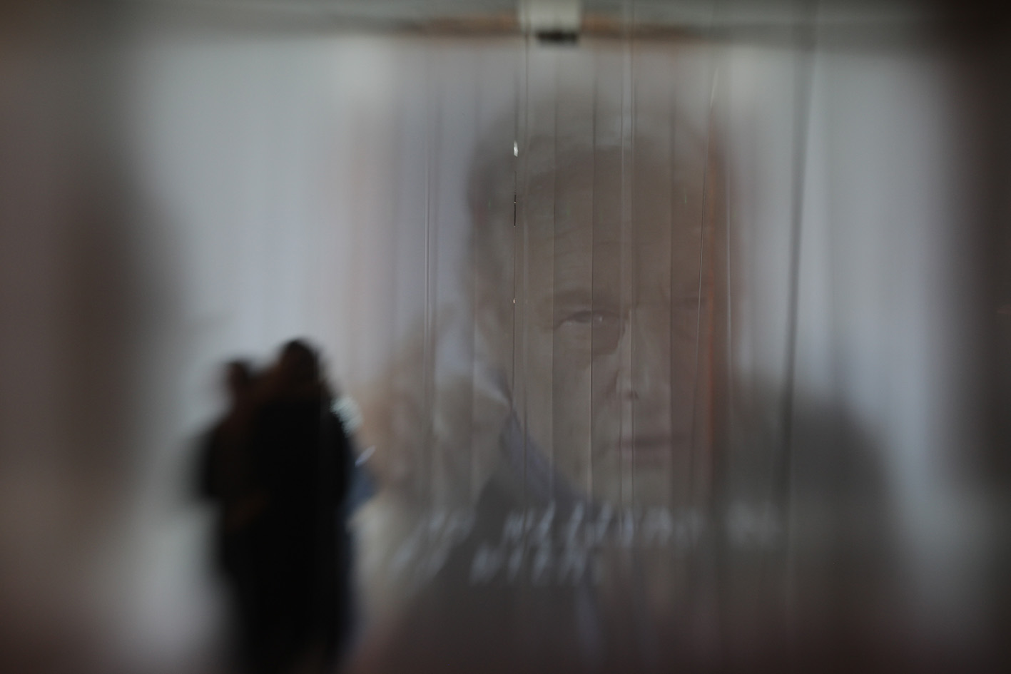 _No_2050 / Bitterness